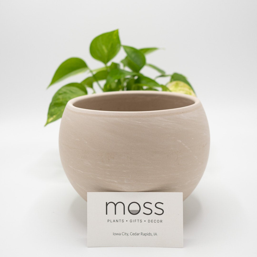Granite Clay Sphere - Medium | Moss